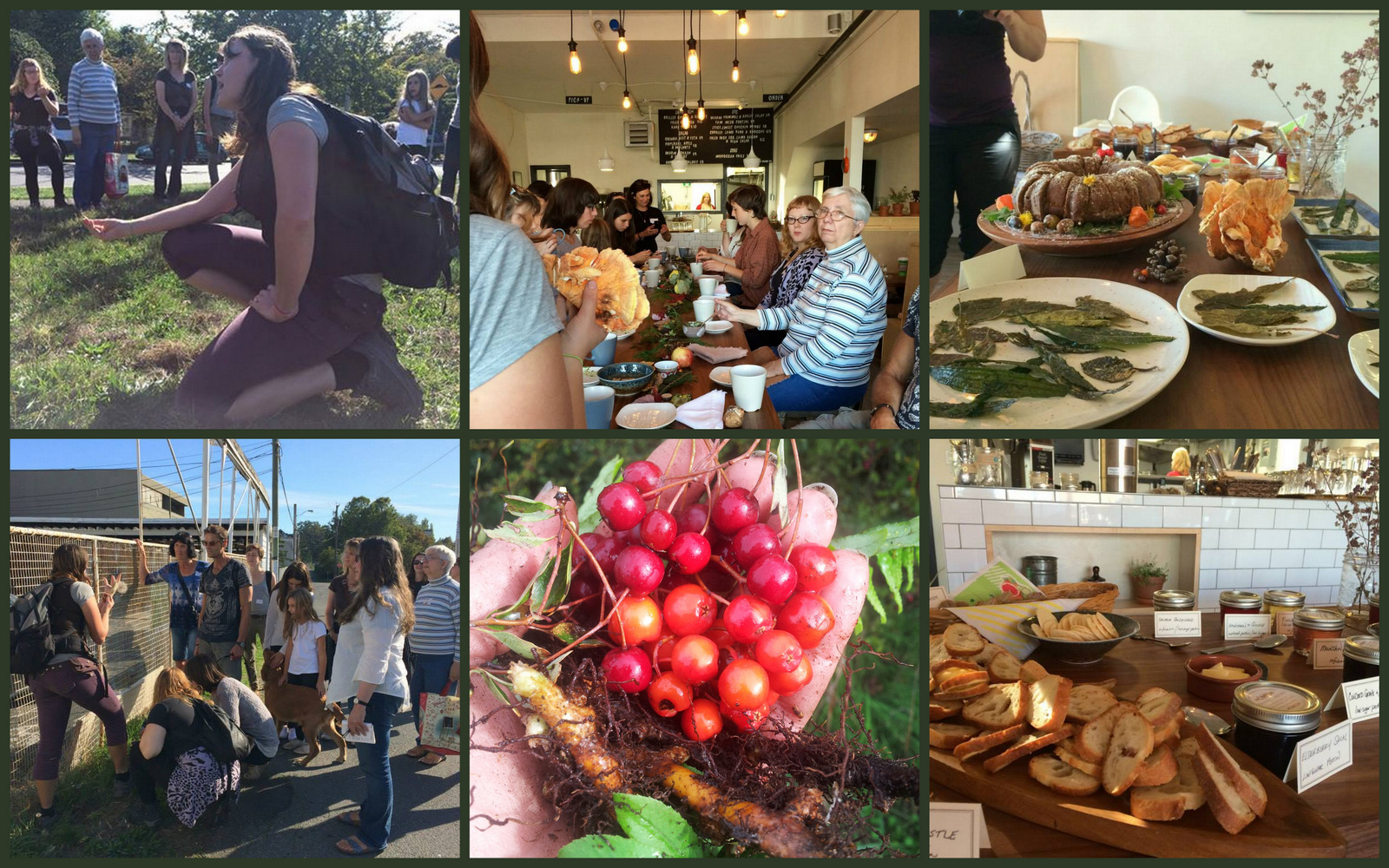 Past Wild Food Walks, Workshops and Tastings: – Gather Victoria
